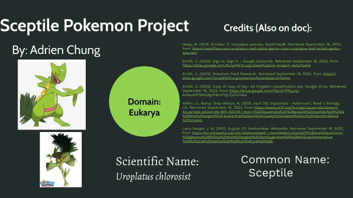 Pokemon Classification Project by Adrien Chung on Prezi