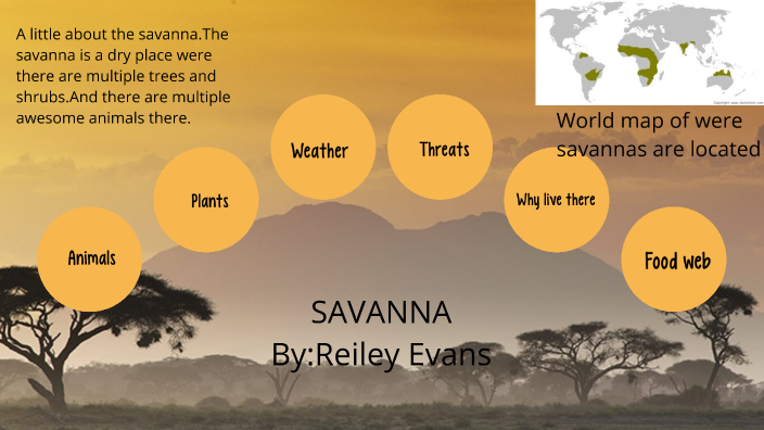 Biome Presentation by REILEY EVANS on Prezi