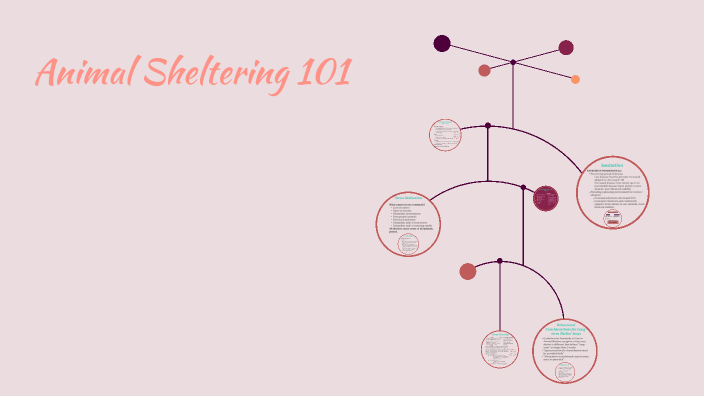 Animal Sheltering 101 by becca morgan on Prezi