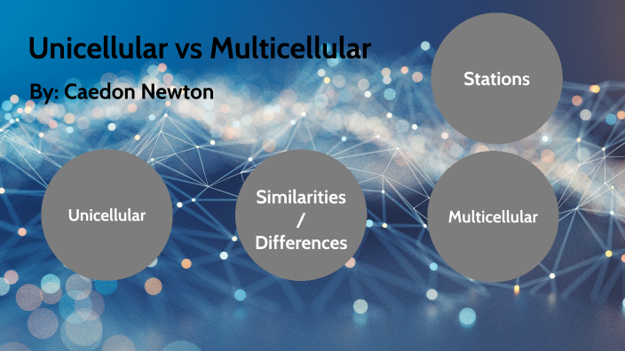 Unicellular vs Multicellular by Caedon Newton on Prezi