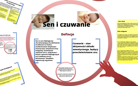Sen i czuwanie by Dagmara Kozłowska on Prezi
