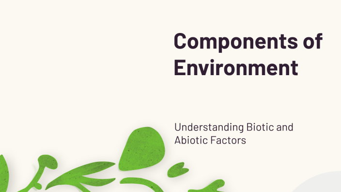 Components of Environment by Neil Chatterjee on Prezi