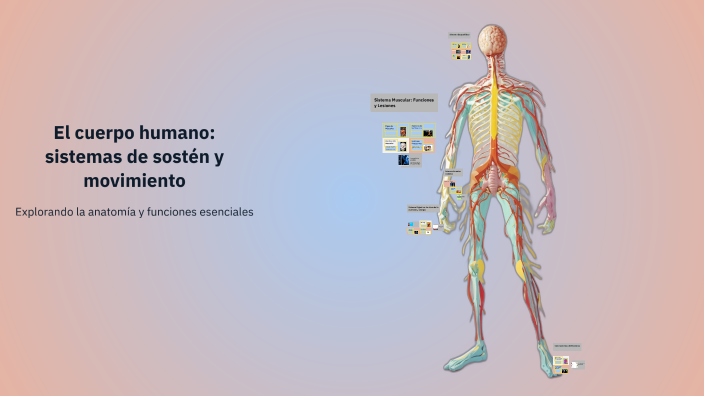 El cuerpo humano: sistemas de sostén y movimiento by lucy brito on Prezi
