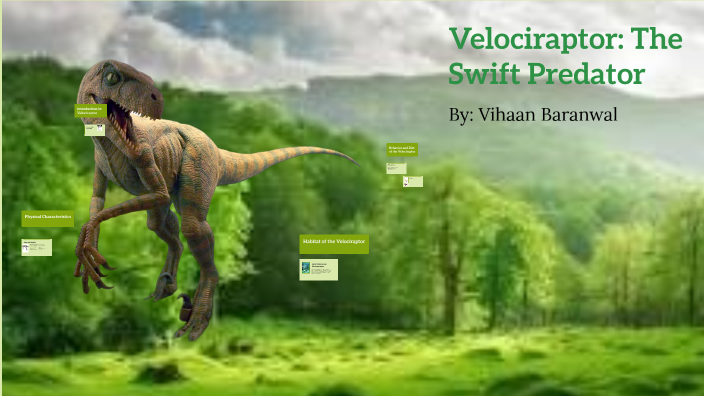 Velociraptor: The Swift Predator by Vihaan Baranwal on Prezi
