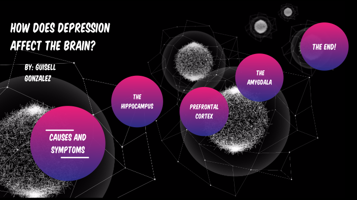 How Does Depression Affect the Brain? by Guisell Gonzalez on Prezi