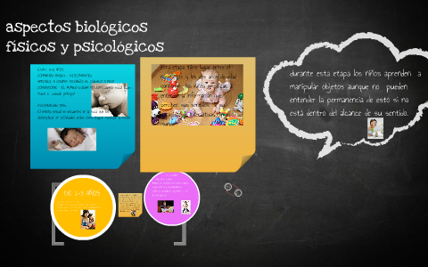 aspectos biologicos fisicos y by yenny moyano on Prezi