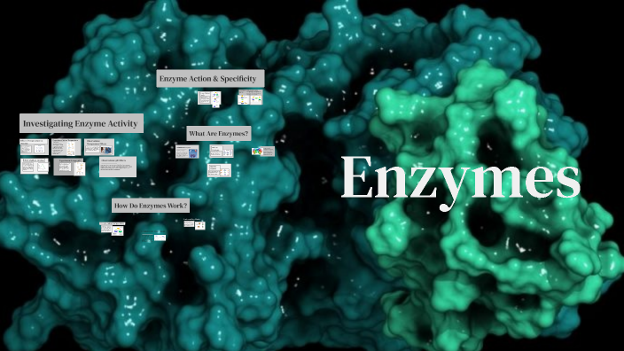 Infographic on Enzymes by Maria Jose Ballesteros Moreno on Prezi