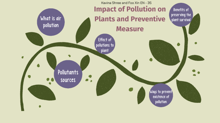 Impact of Pollution on Plants and Preventive Measure by KAVINA SHREE A ...