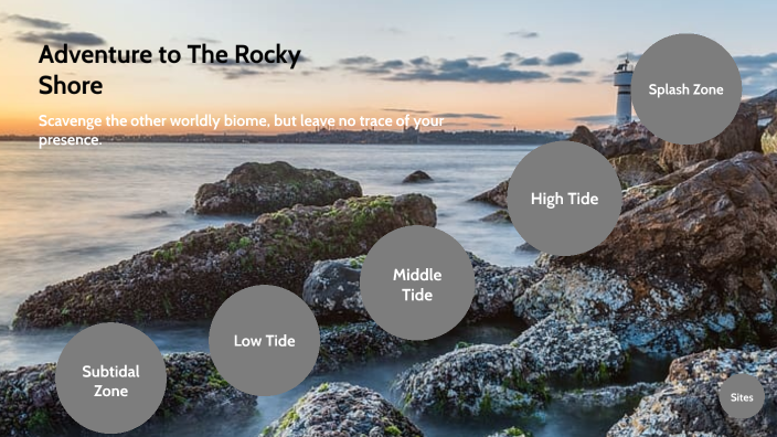 Teaching Elementary Children about a Rocky Intertidal Ecosystem by ...