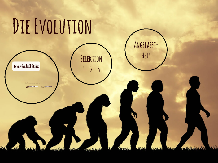 Die Evolution by Nora Haiz on Prezi
