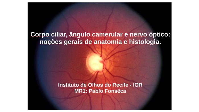 Corpo ciliar, estruturas do ângulo e nervo óptico: noções ge by Pablo ...