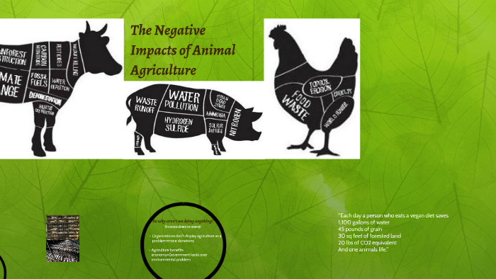 The negatives of Agriculture by Emily Barea