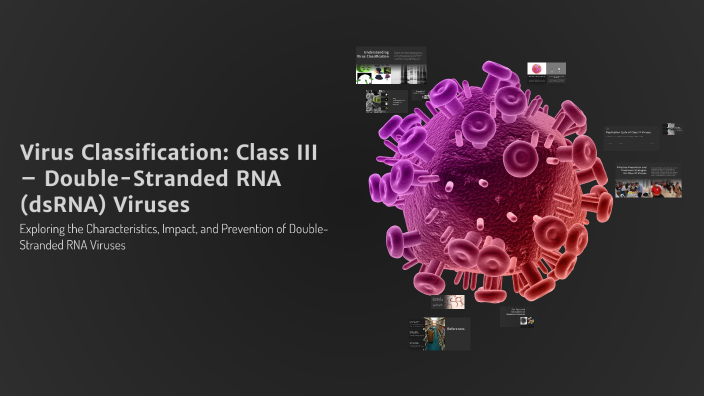 Virus Classification: Class III – Double-Stranded RNA (dsRNA) Viruses ...