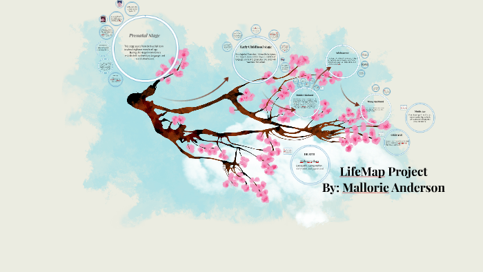 LifeMap Project by Mallorie Anderson on Prezi