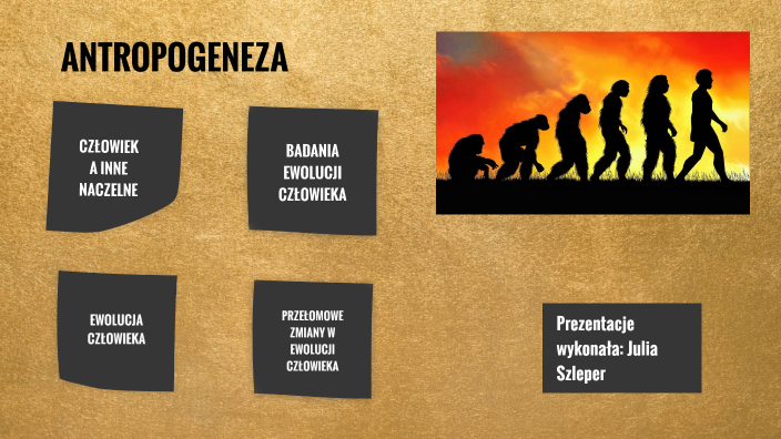 Antropogeneza-pochodzenie człowieka by Julia Szleper on Prezi