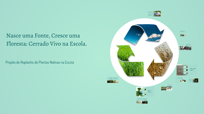 Conscientização Ambiental: A Importância da Nascente, do Cerrado e da ...