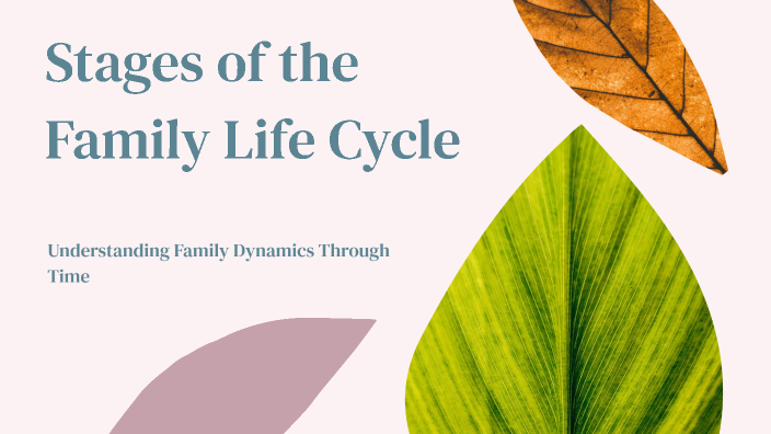 Stages of the Family Life Cycle by Kenna McNulty on Prezi