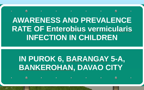 Chapter 1: The Problem and its Setting by Witzgerald Paler on Prezi
