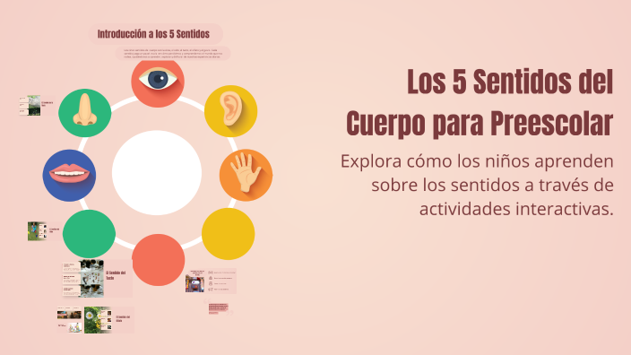 Los 5 Sentidos del Cuerpo para Preescolar by Daniela Castillo Damian on ...