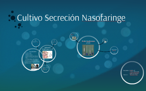 Aspiracion Nasofaríngeo (ANF) by jessica dinamarca zuñiga on Prezi