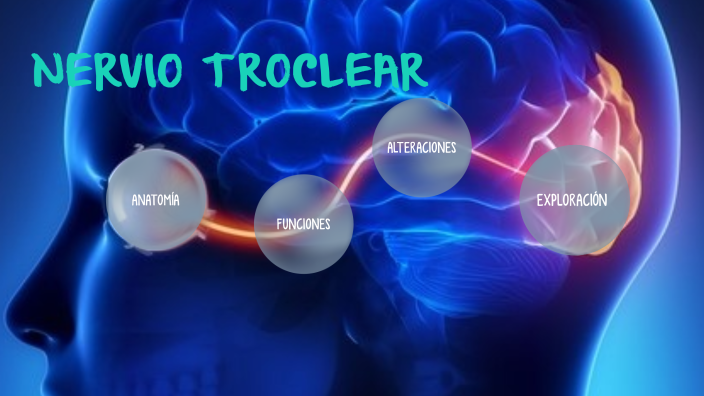Función Del Nervio Troclear