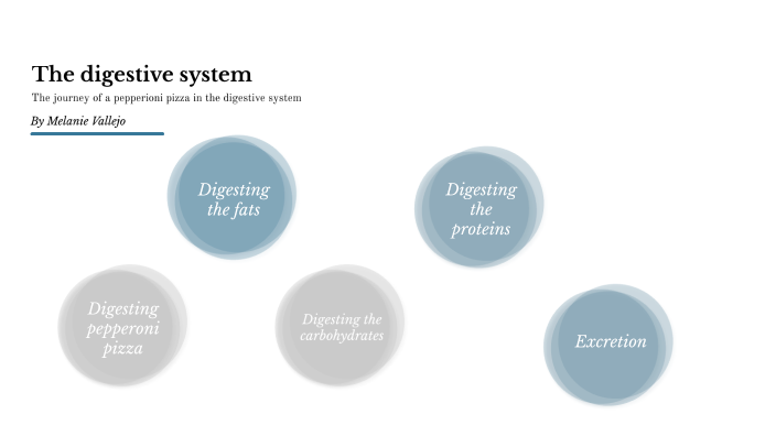 The digestive system by Melanie VALLEJO GUBBINS on Prezi