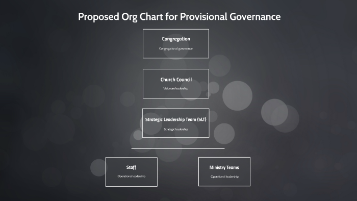 Organizational Chart for Provisional Governance by Dave Steel
