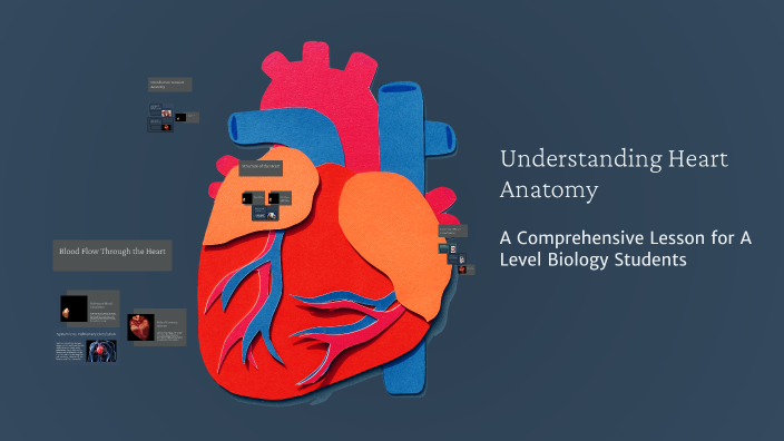 Understanding Heart Anatomy by Faye Wallace on Prezi