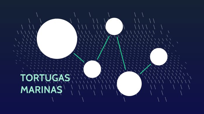 LAS TORTUGAS MARINAS by sara bellon escudero on Prezi