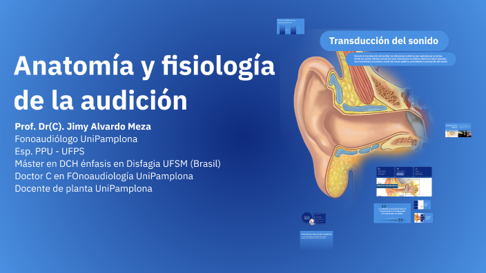 Anatomía y fisiología de la audición by Neo Fagia on Prezi