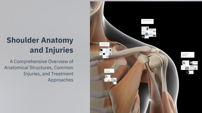 Shoulder Anatomy and Injuries by mohmmed mohmmed on Prezi