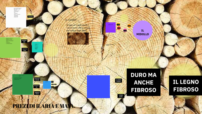 il legno by Ilaria Rina on Prezi