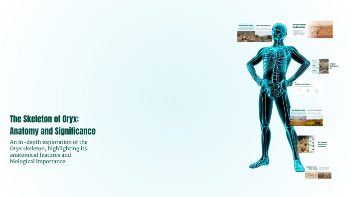 The Skeleton of Oryx: Anatomy and Significance by Saroj yadav on Prezi