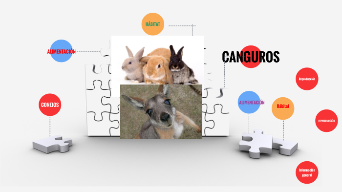CONEJOS Y CANGUROS by Ren Gon Kar on Prezi