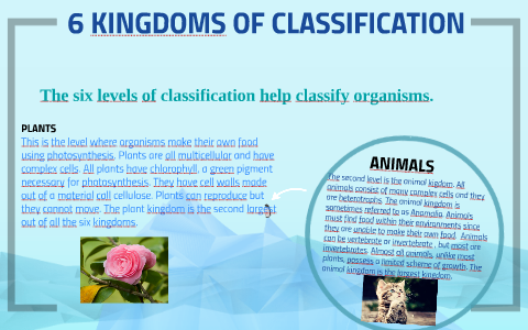 6 KINGDOMS OF CLASSIFICATION by Joy Johnson on Prezi
