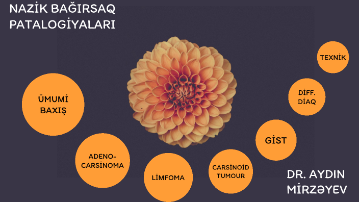 NAZIK BAĞIRSAQ PATALOGİYALARI by Aydinn Mirzeyevv on Prezi