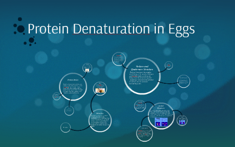 Protein Denaturation in Eggs by Colin Kingen on Prezi
