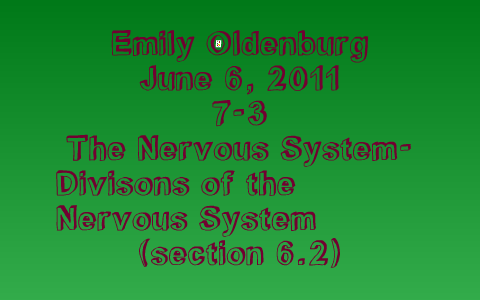 divisions ot the nervous system by emily oldenburg on Prezi