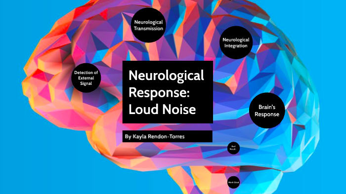Neurological Response: Loud Noise by Kayla Rendon-Torres on Prezi