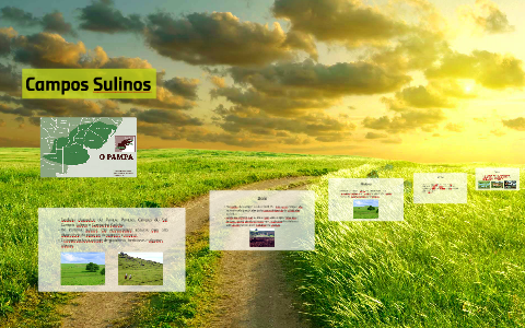 Campos Sulinos by Rodrigo Veloso on Prezi