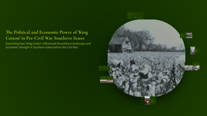 The Political and Economic Power of 'King Cotton' in Pre-Civil War ...