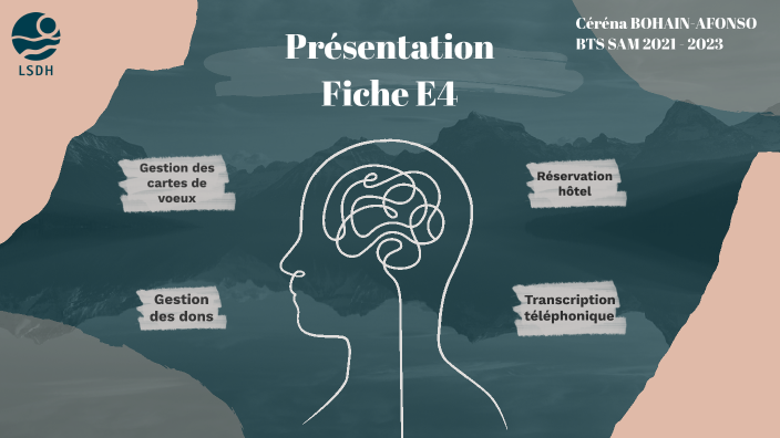 Présentation Fiche E4 by Céréna BOHAIN AFONSO on Prezi