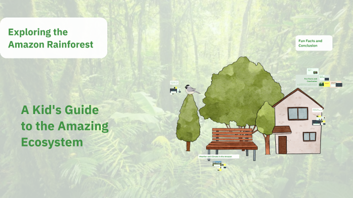 Exploring the Amazon Rainforest by Flower Ahmed on Prezi