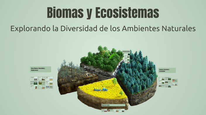 Biomas y Ecosistemas by Lina Pineda on Prezi