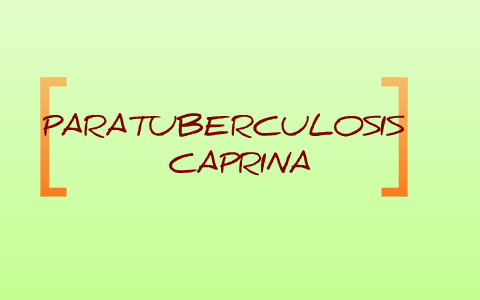 Paratuberculosis caprina by georgina hernandez on Prezi
