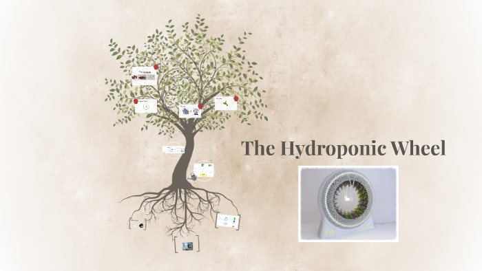 The Hydroponic Wheel by thomas prost-dumont on Prezi