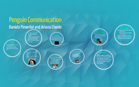 Penguin Communication by Daniela Pimentel on Prezi