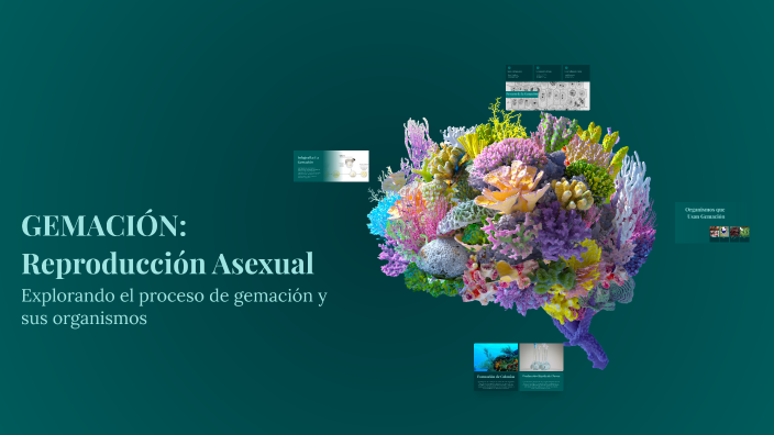 GEMACIÓN: Reproducción Asexual by ADRIAN JOSE GARCIA SUAREZ on Prezi