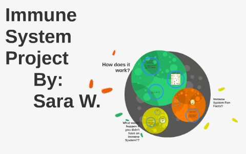 Immune System Project by Sara Woolard on Prezi