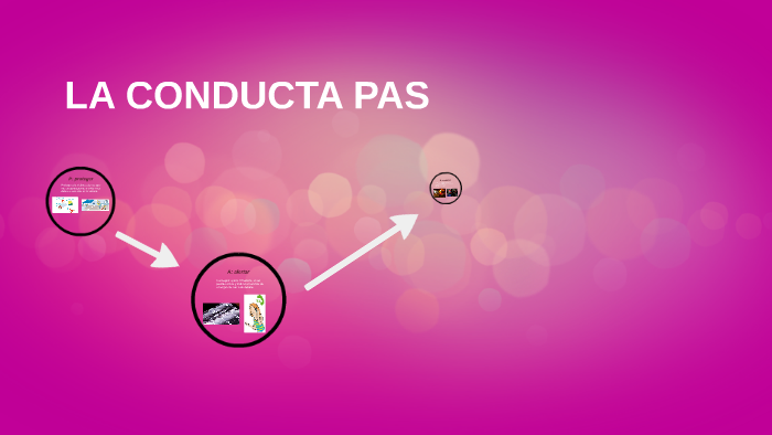 LA CONDUCTA PAS by Nahia Andueza on Prezi